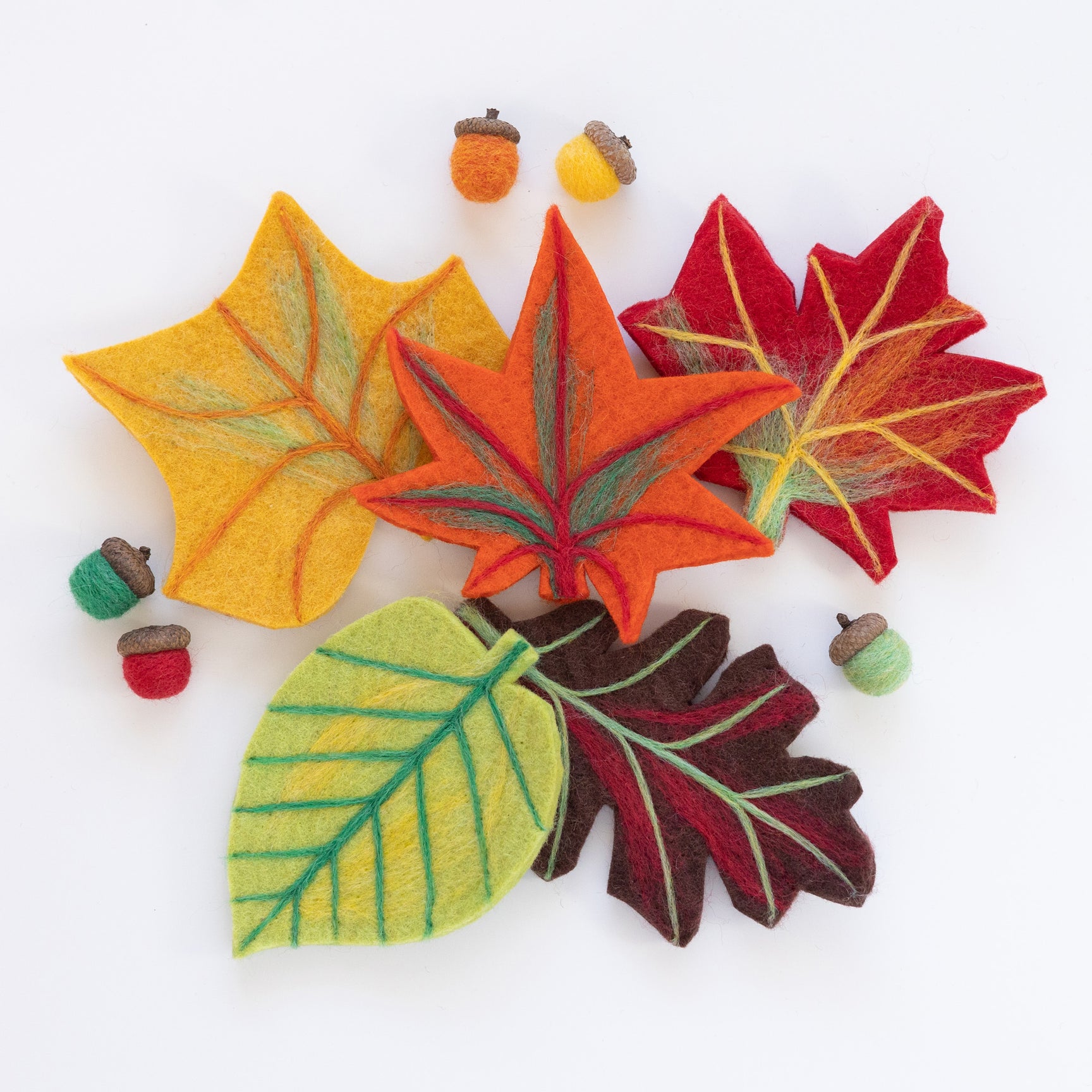Fall Leaves & Acorns Needle Felting Kit – Felted Sky