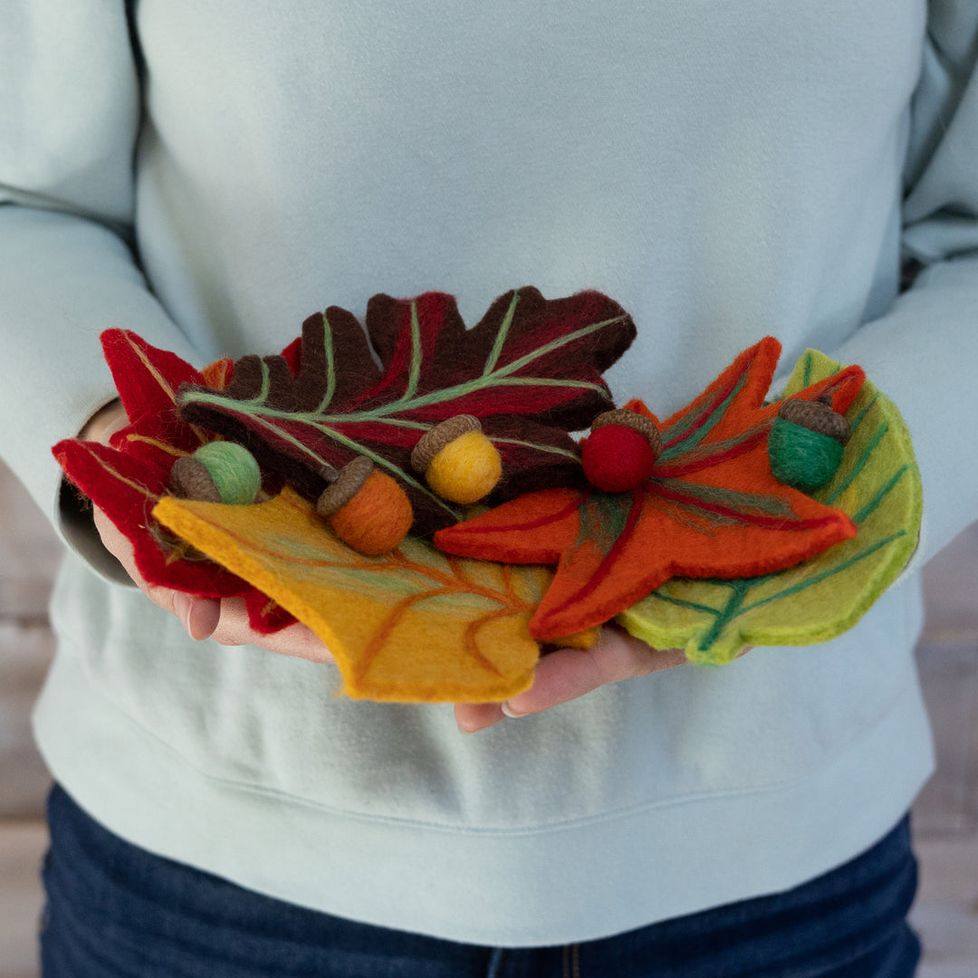 Fall Leaves & Acorns Needle Felting Kit – Felted Sky