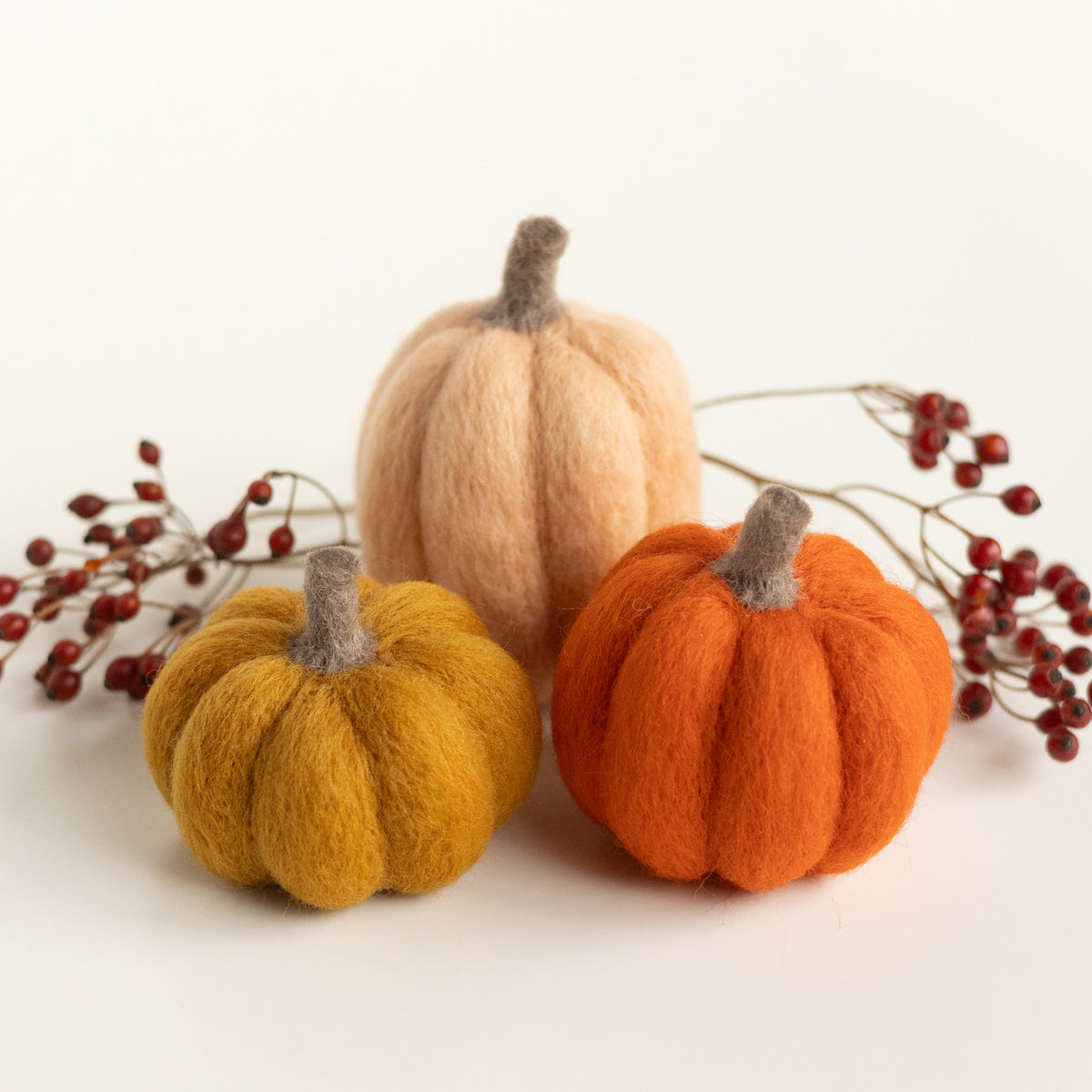 Pumpkin Trio Mini Needle Felting Kit– Felted Sky