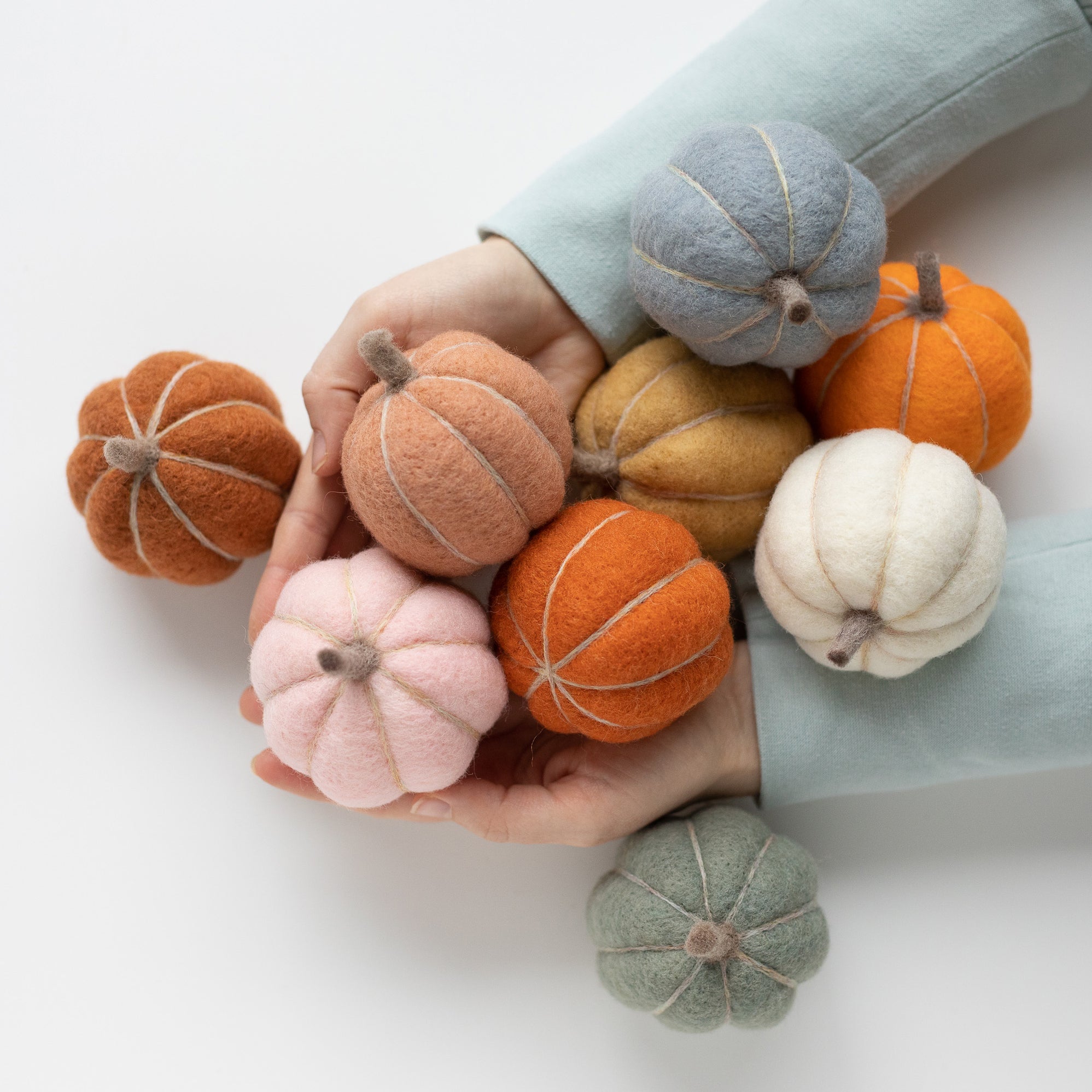 Pumpkin Party Needle Felting Kit– Felted Sky